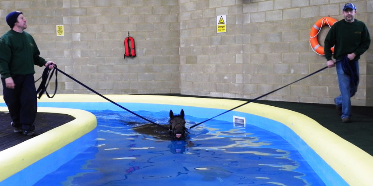 Equine Pool and Veterinary Centre - KWA Architects (Cambridge) Ltd